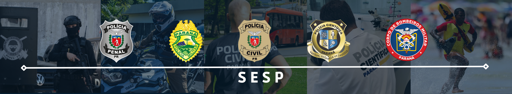 design_sem_nome.png | Secretaria da Segurança Pública